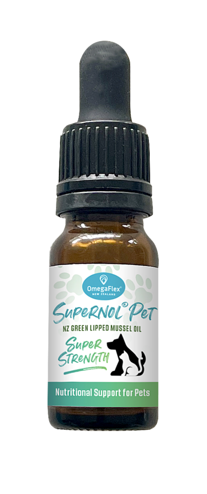 Cat Bone & Joint Support - Support Your Cat's Bone and Joint Health ...