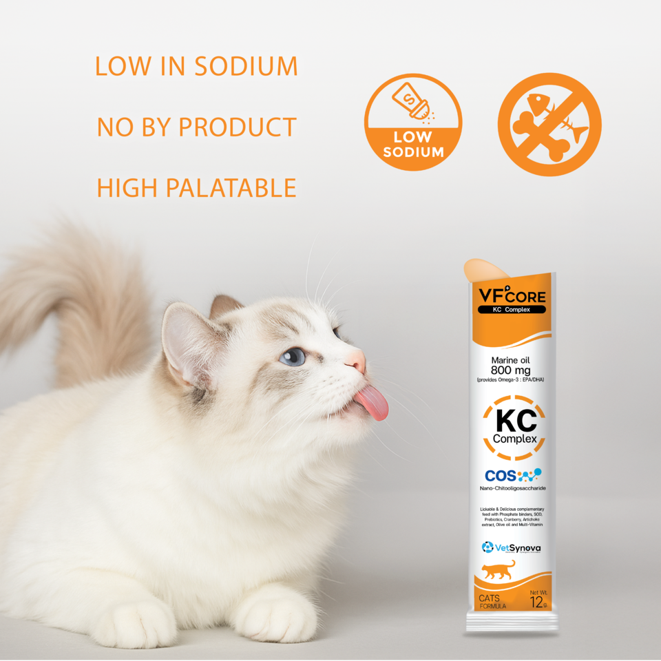 VetSynova VF+ Core KC Kidney Care Complex Cat Supplement - Petdirect