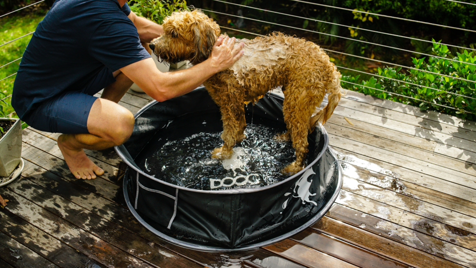 DOOG Pop-Up Dog Pool - Petdirect