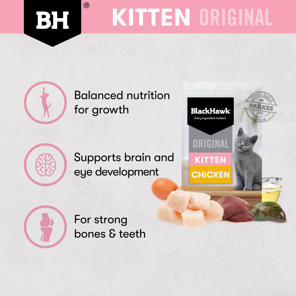 Black Hawk Original Kitten Chicken Dry Cat Food - Petdirect