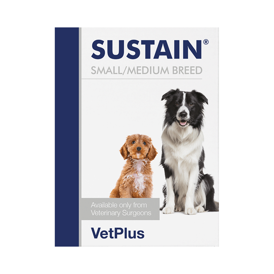 Shop Quality Dog Vet Supplements - Enhance Your Dog's Health - Pet Direct
