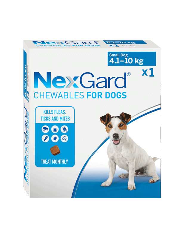 NexGard Flea Treatment - Pet Direct