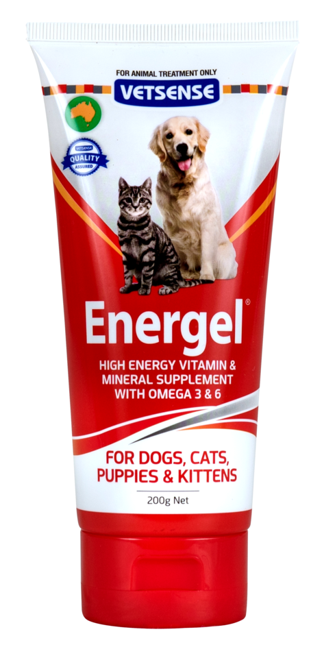 Vetsense Energel - Pet Direct
